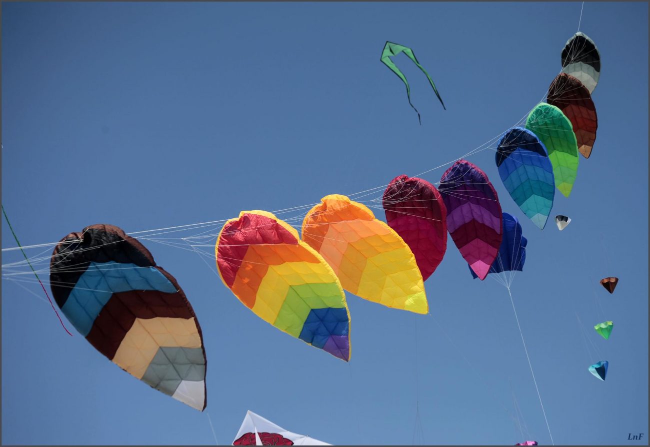 « La journée mondiale du cerfs-volants » de Lainon – Blog Wipplay